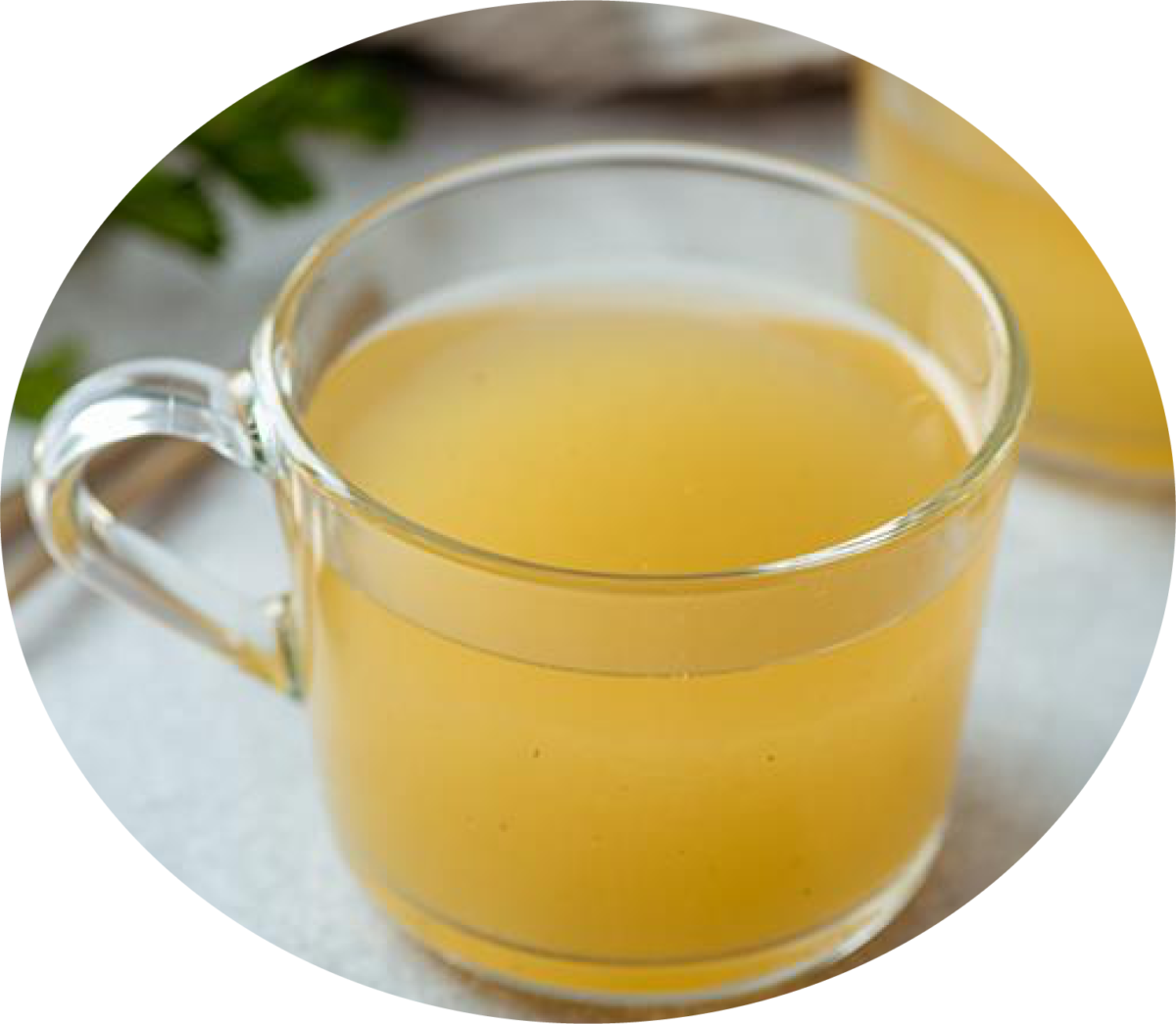 Metabolic Diet for Cats – Medicus Veterinary Diets