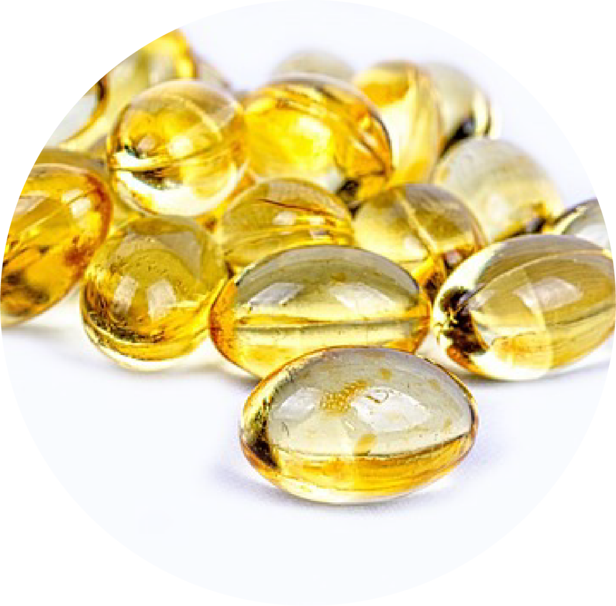 Kidney Support Diet for Dogs – Medicus Veterinary Diets