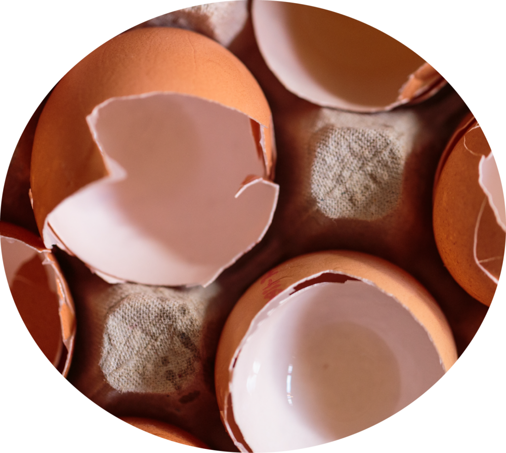 Kidney Support Diet – For Dogs – Medicus Veterinary Diets