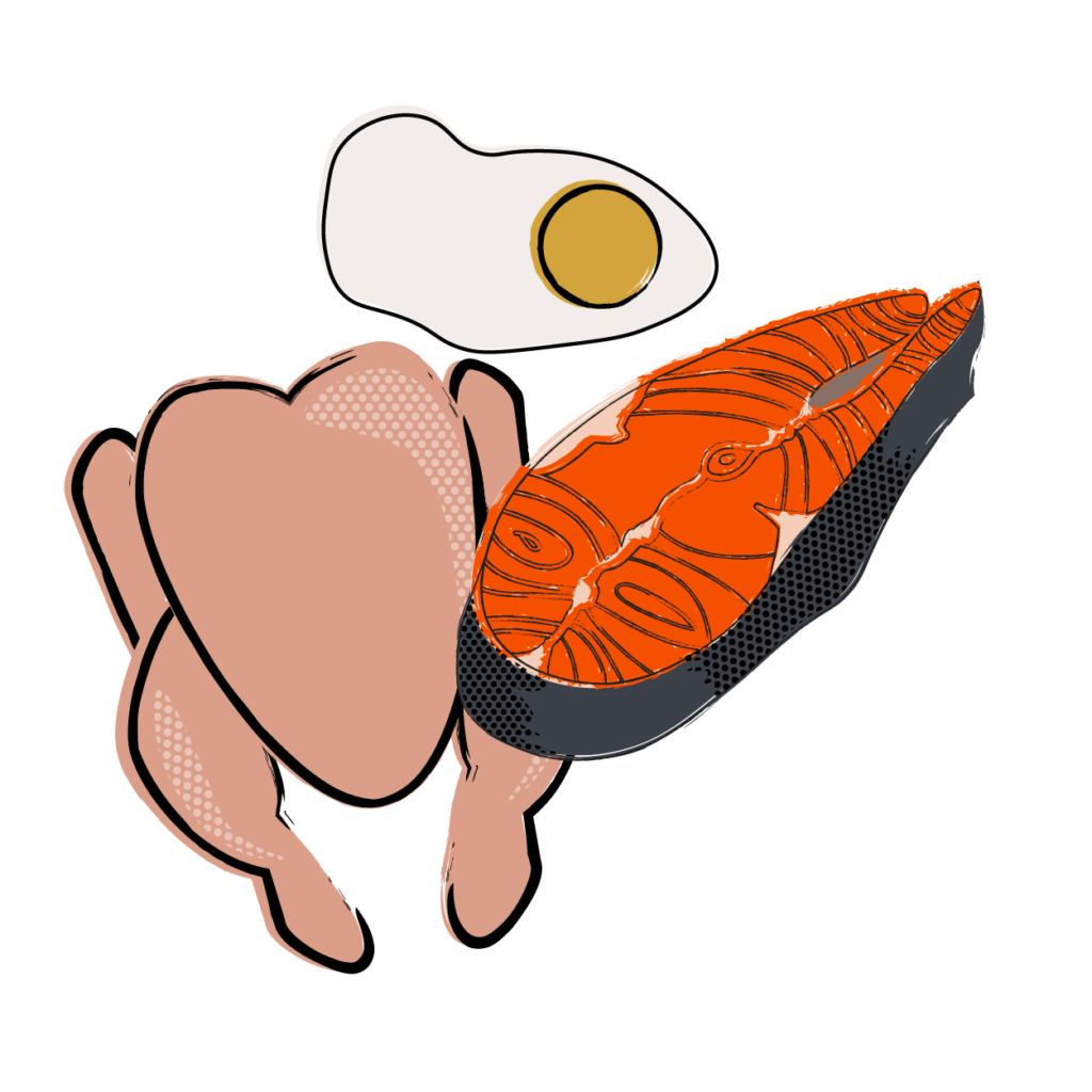 Whole Body Support Diet For Cats – Medicus