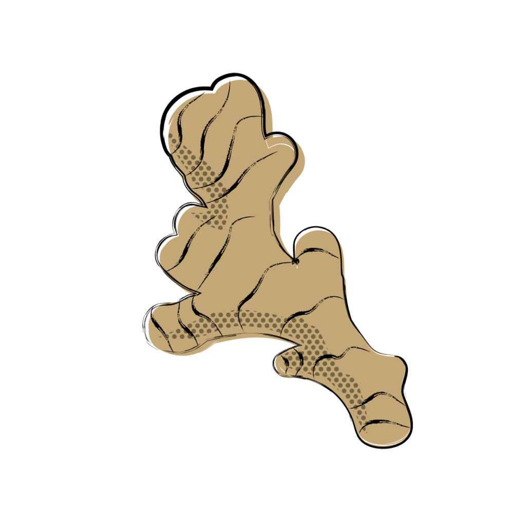 Sensitive Stomach Diet – For Dogs – Medicus Veterinary Diets